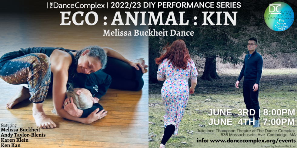 The Dance Complex | Dance classes for kids and adults, dance ...