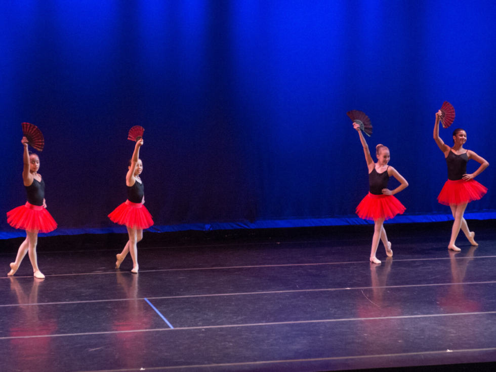 Educational Ballet Ages 8+ - The Dance Complex